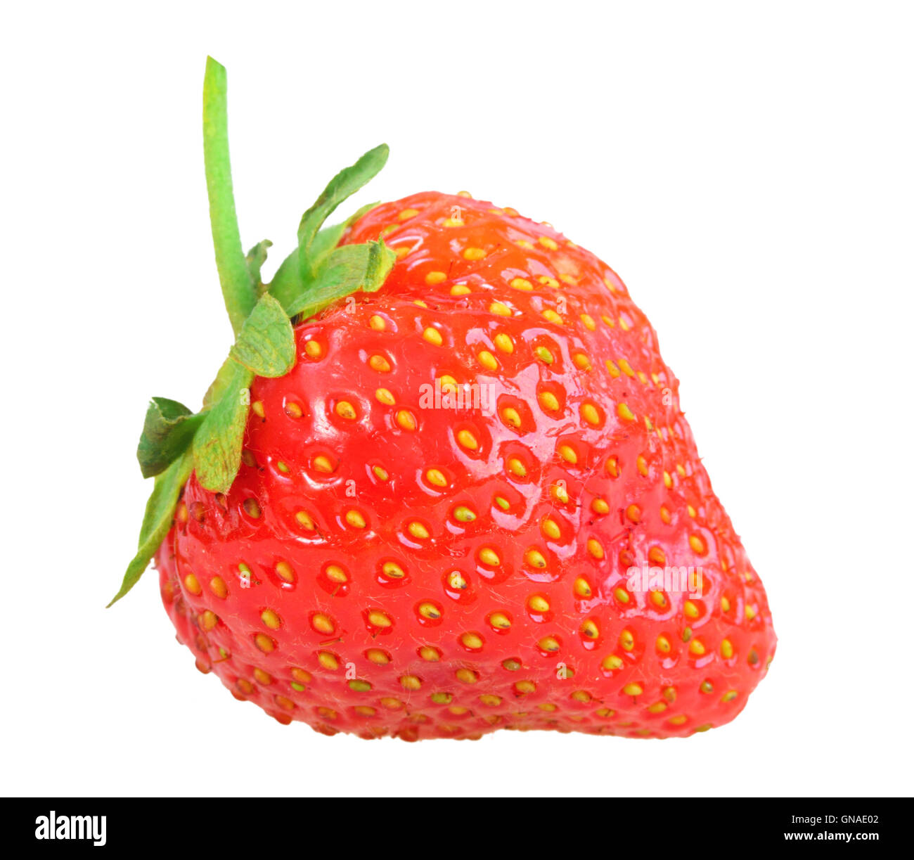 Single fresh strawberry hi-res stock photography and images - Alamy
