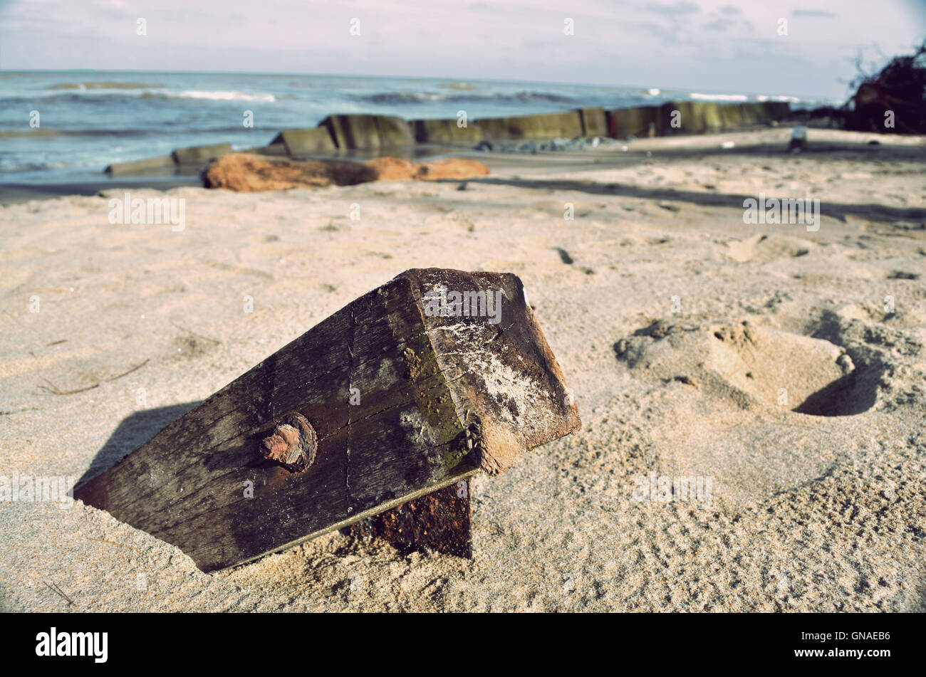 Stump on the Beach Stock Photo - Alamy