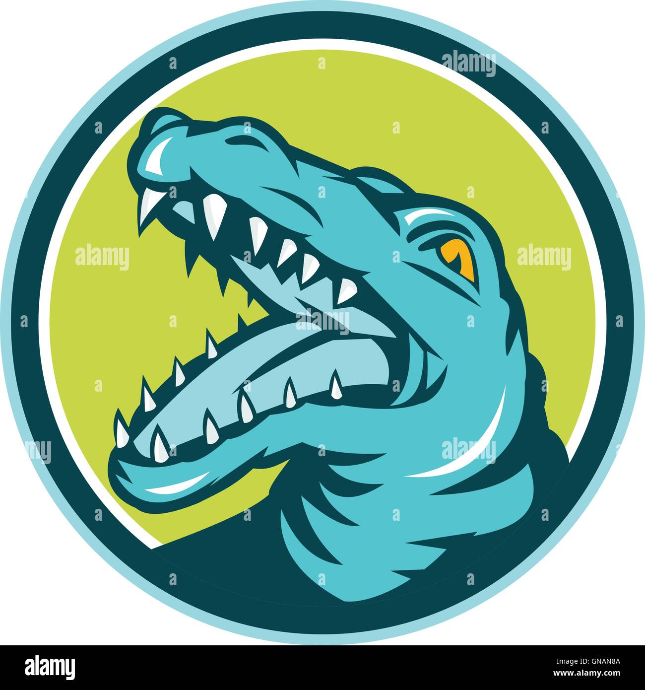 Angry Alligator Head Snout Circle Retro Stock Vector Image & Art - Alamy