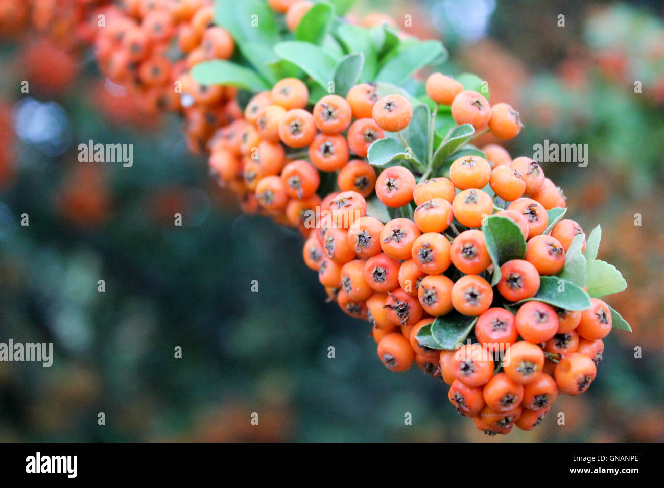 Naturism hi-res stock photography and images - Alamy