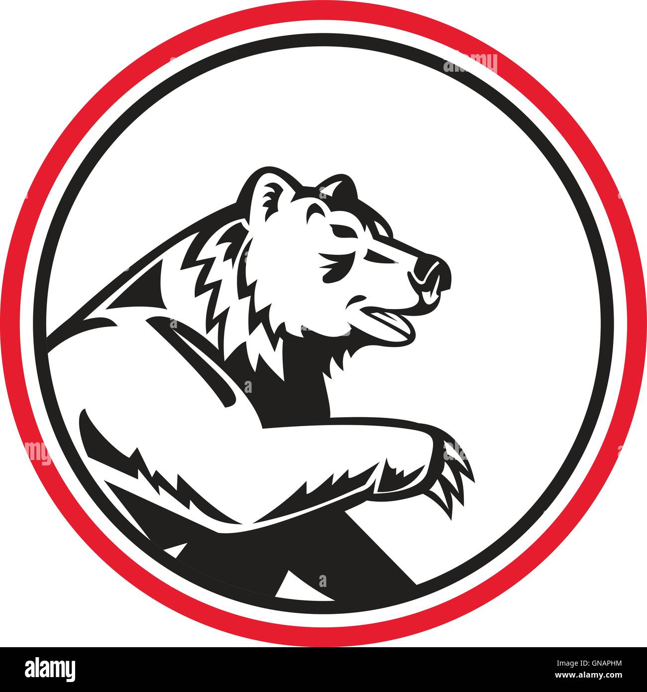 California grizzly bear hi-res stock photography and images - Alamy