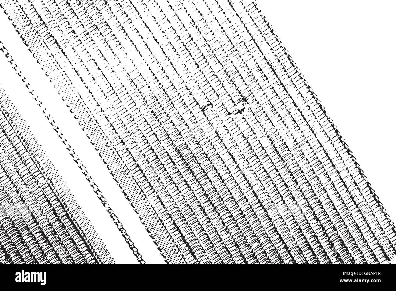 black and white texture pattern vector illustration Stock Vector Image ...