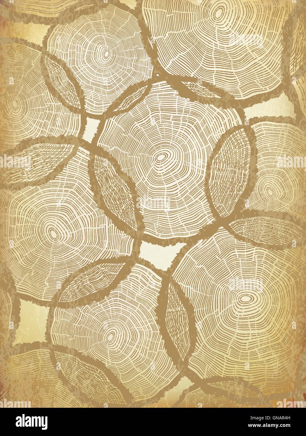 Annual growth rings tree Stock Vector Images - Alamy