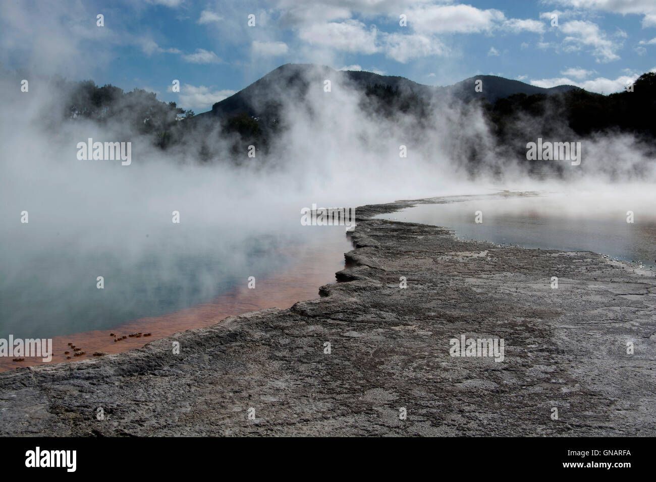 Thermal Wonderland, New Zealand Stock Photo - Alamy