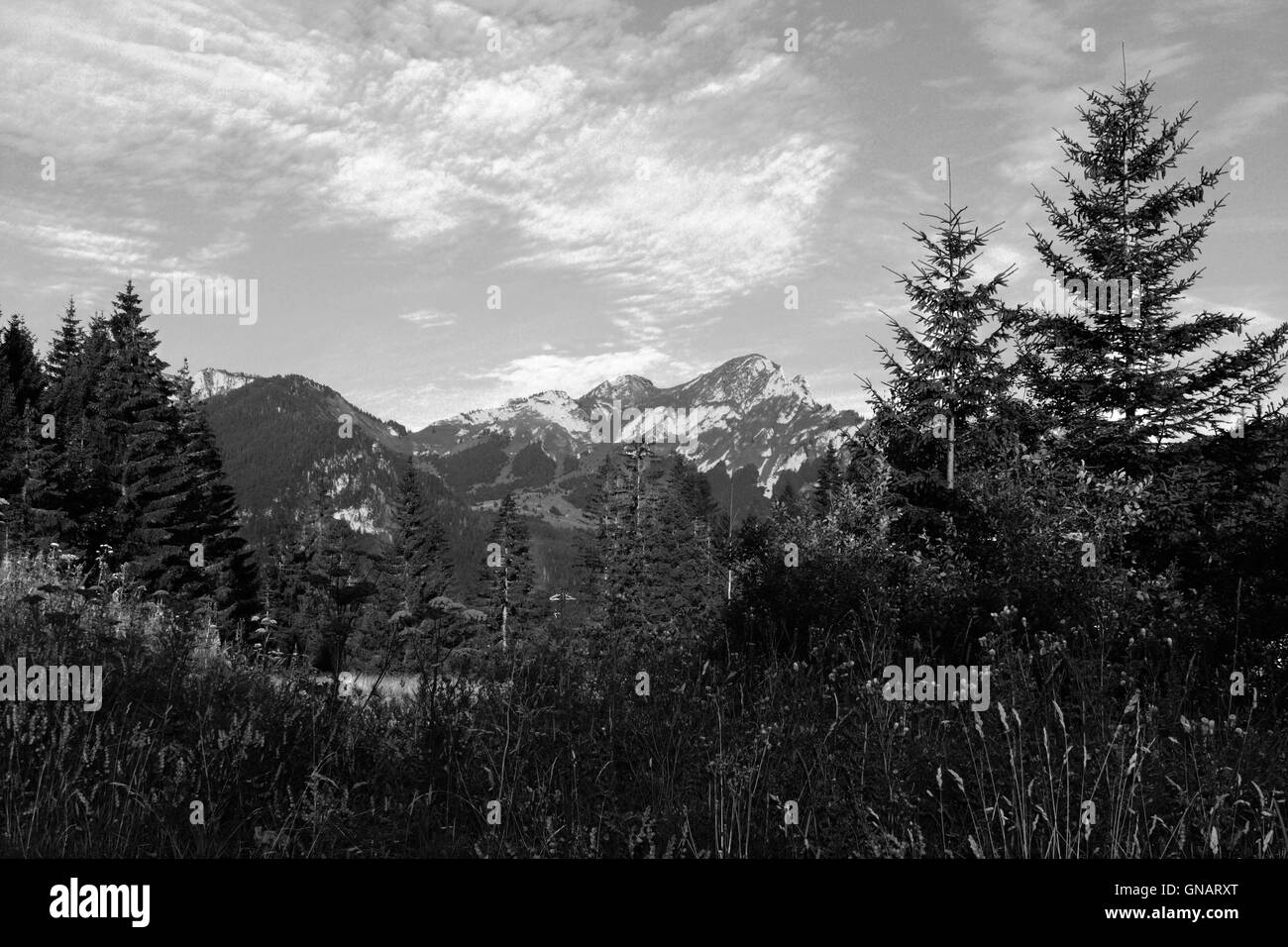 Mountainous area view Black and White Stock Photos & Images - Alamy