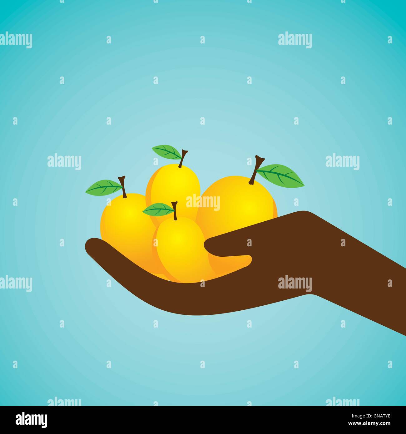 Summer mangoes Stock Vector Images - Alamy