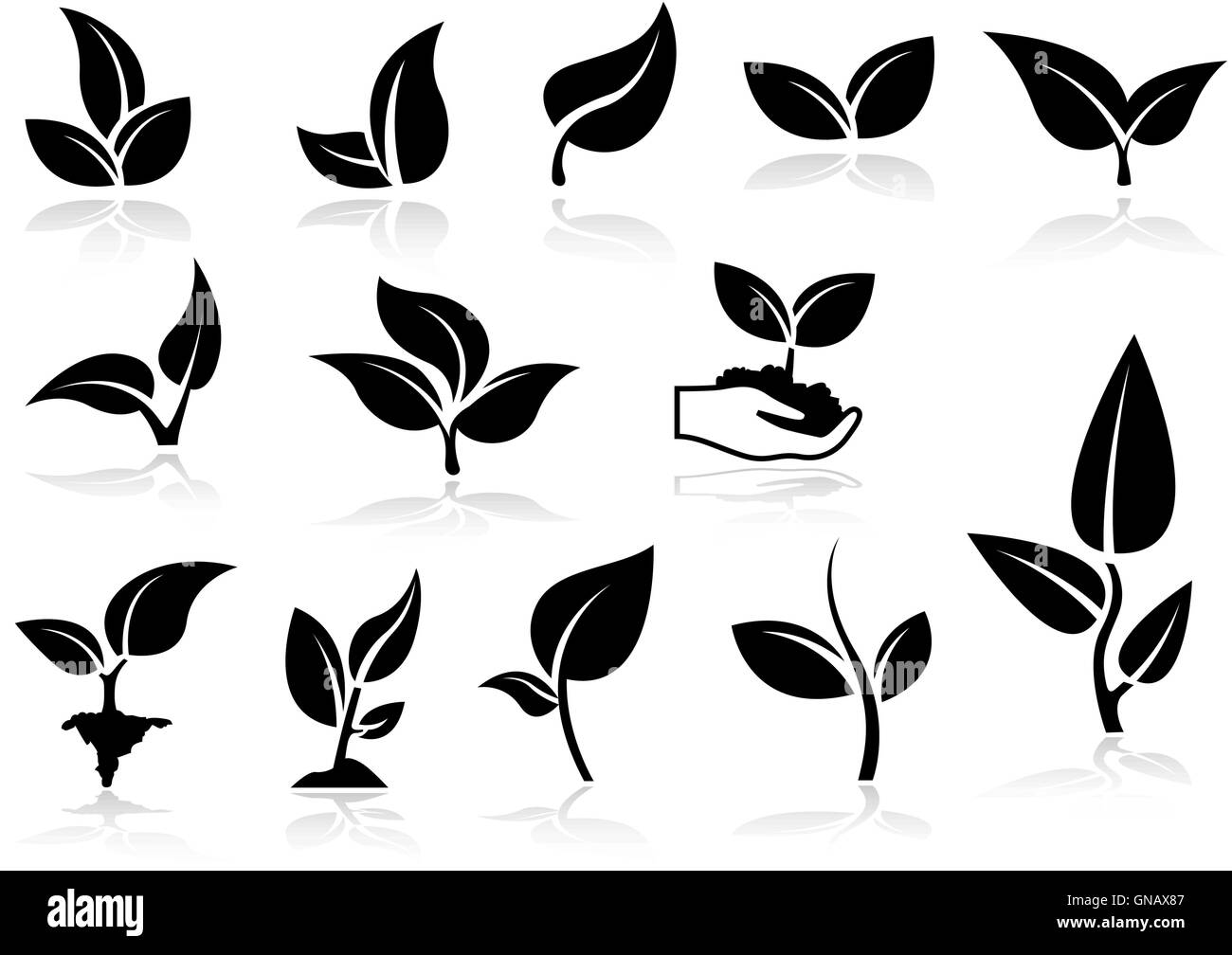 Plants Icons Set Stock Vector Image & Art - Alamy Plants Icons Set Stock Vector Image & Art - Alamy