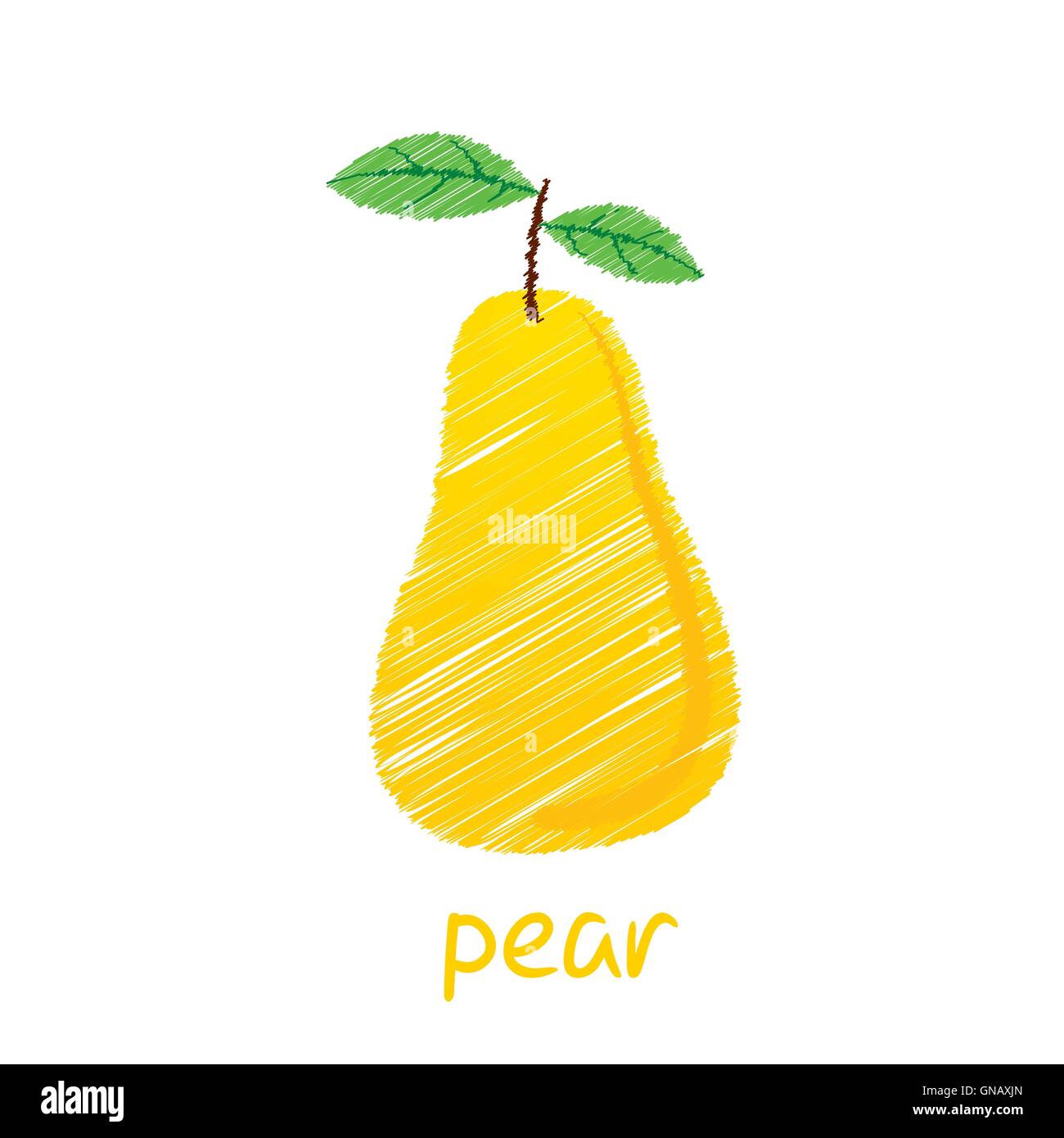 pear fruit, sketch design vector Stock Vector Image & Art - Alamy