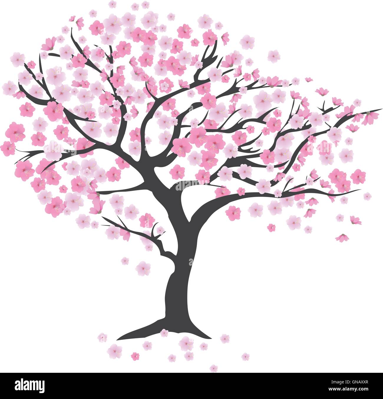 Beautiful blooming tree Cut Out Stock Images & Pictures - Alamy