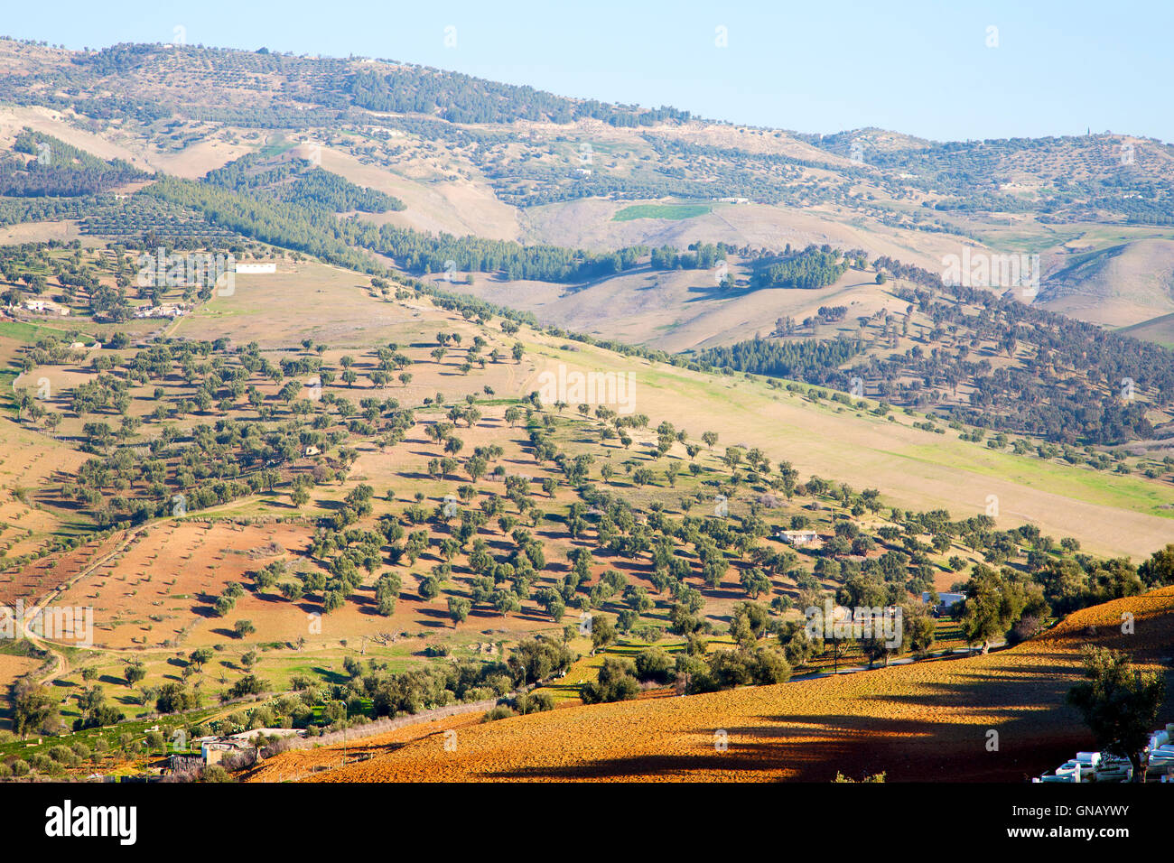 from high in the village morocco africa field and constructions Stock ...