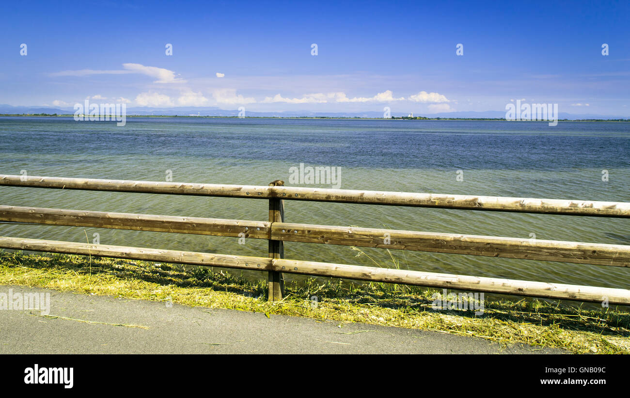 The lagoon of Grado in a summer day Stock Photo - Alamy