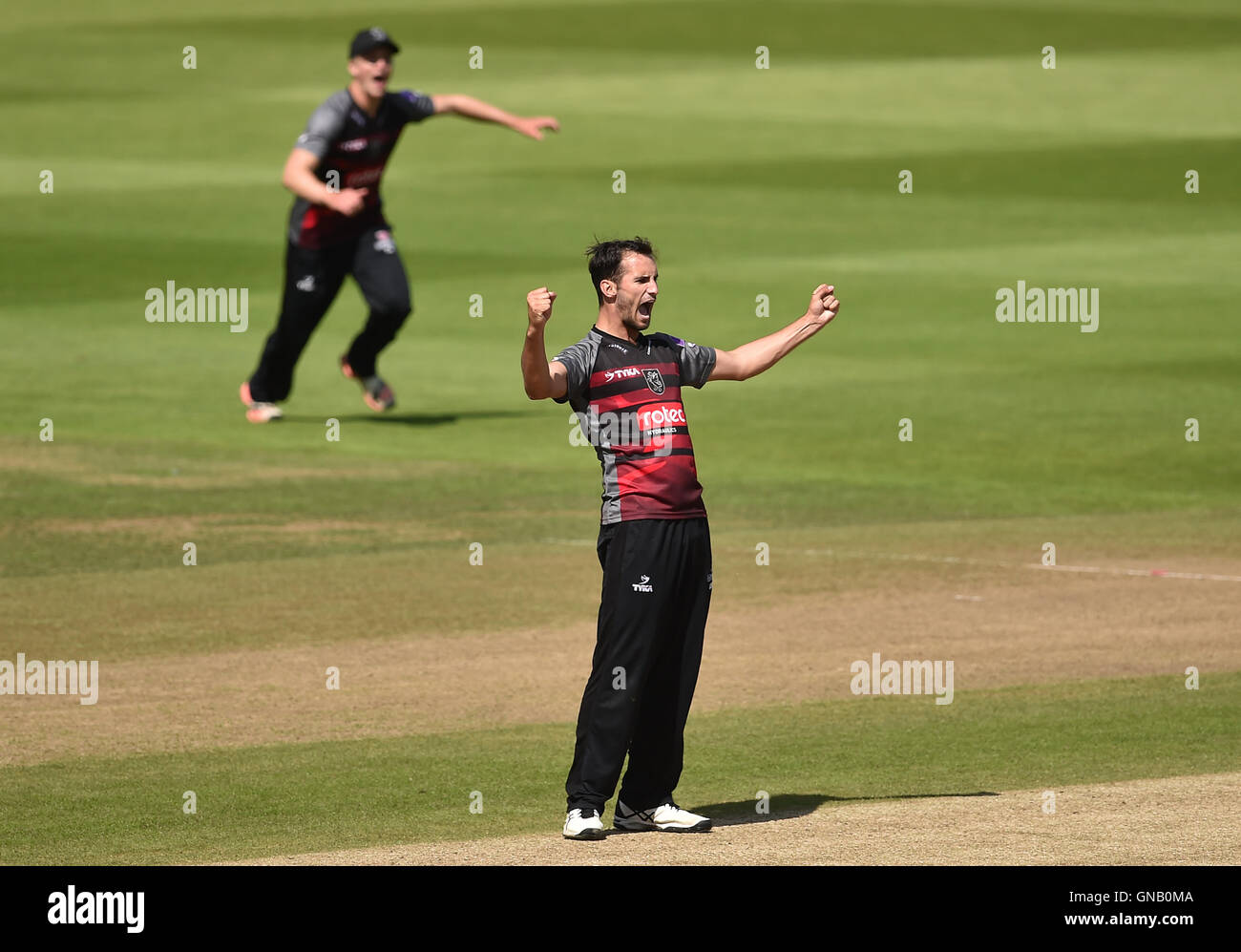 Somerset's Lewis Gregory celebrates taking the wicket of Warwickshire's ...