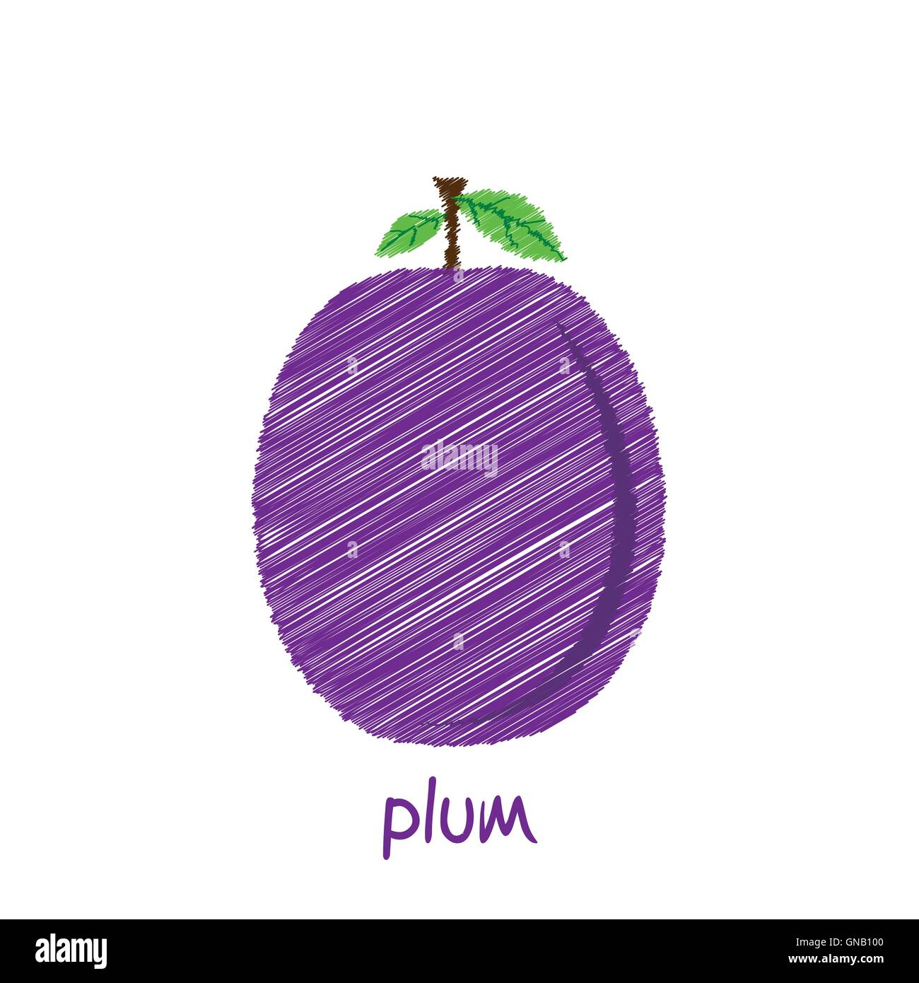 plum fruit , sketch design vector Stock Vector Image & Art - Alamy
