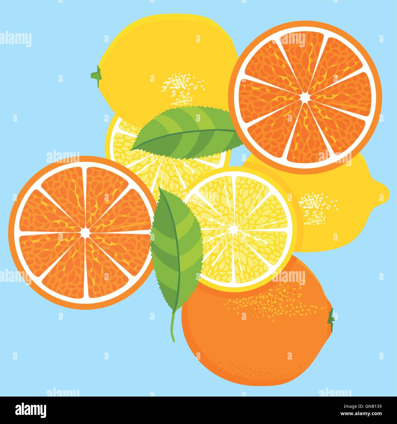 Slices citrus lime lemon orange Stock Vector Images - Alamy