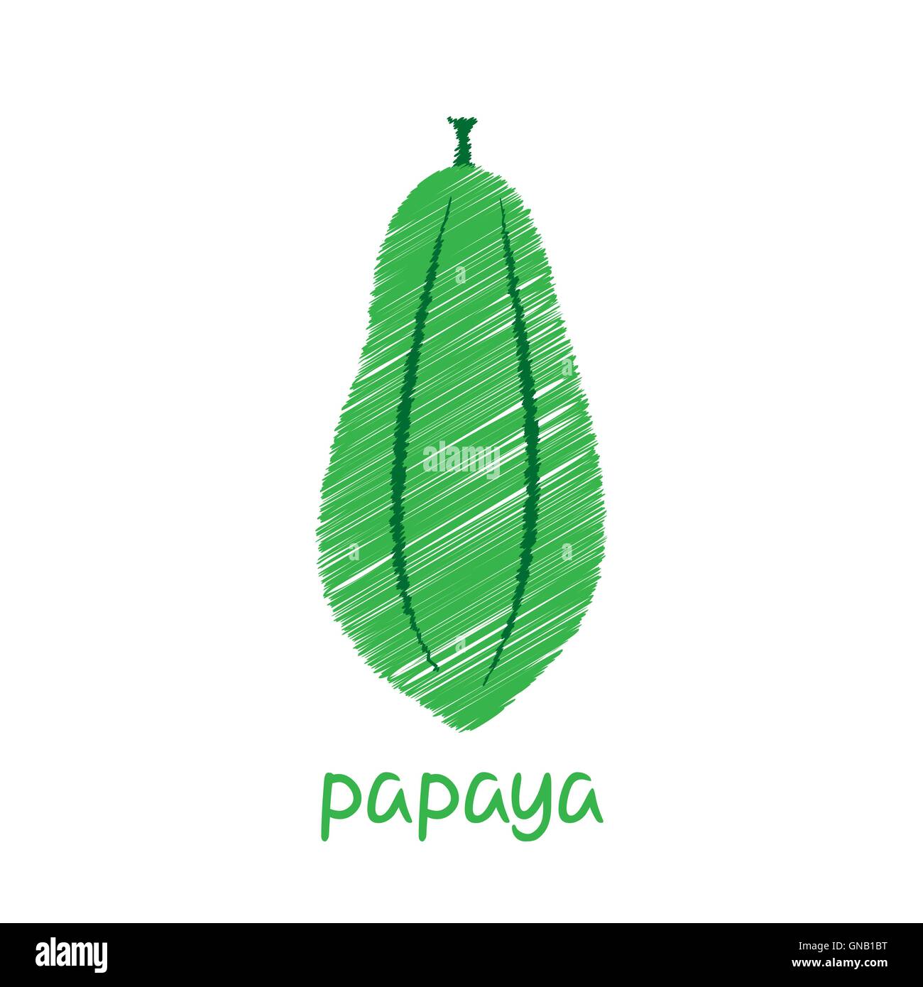 Vibrant cross section Stock Vector Images - Alamy