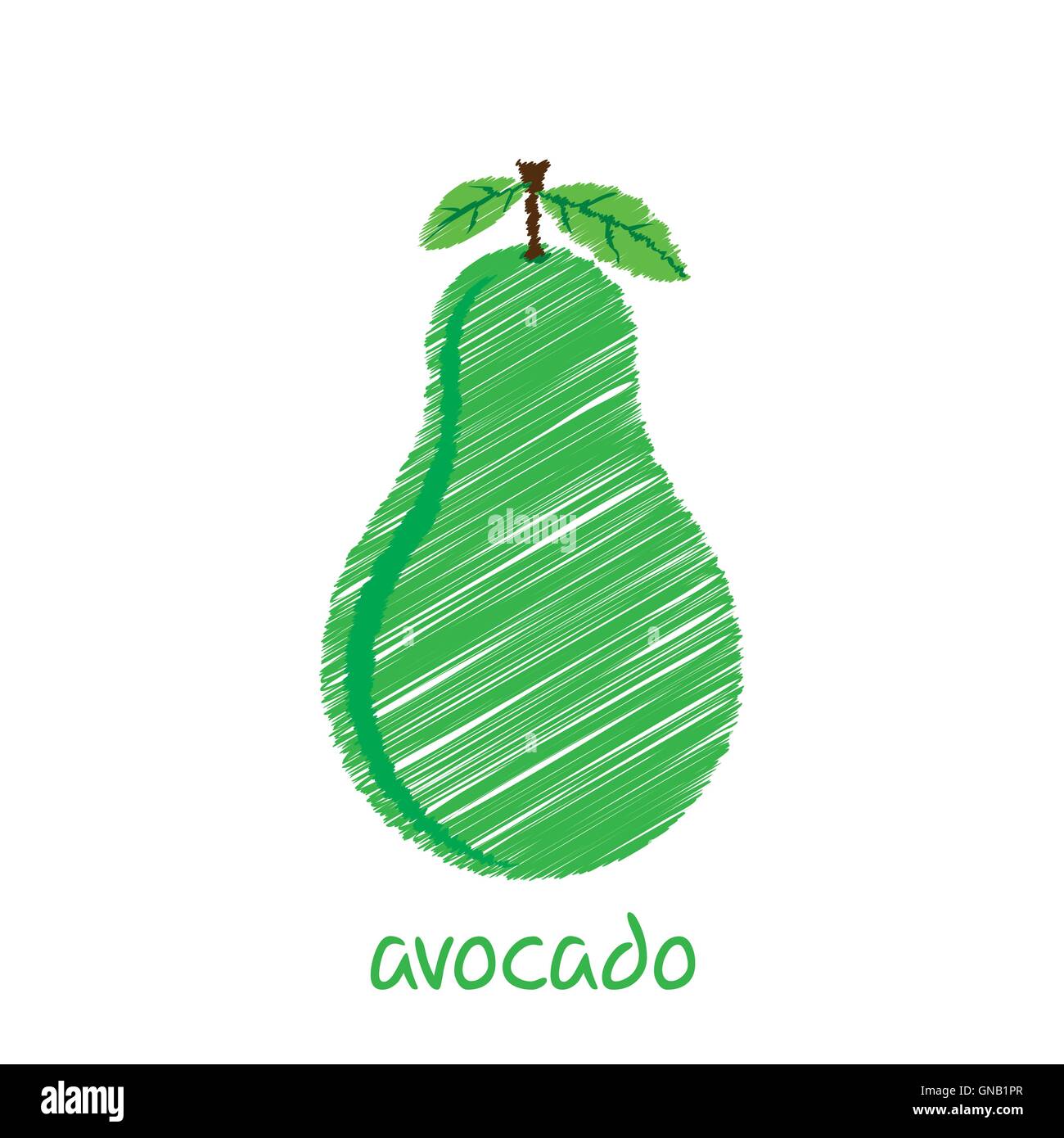 avocado, sketch design vector Stock Vector Image & Art - Alamy