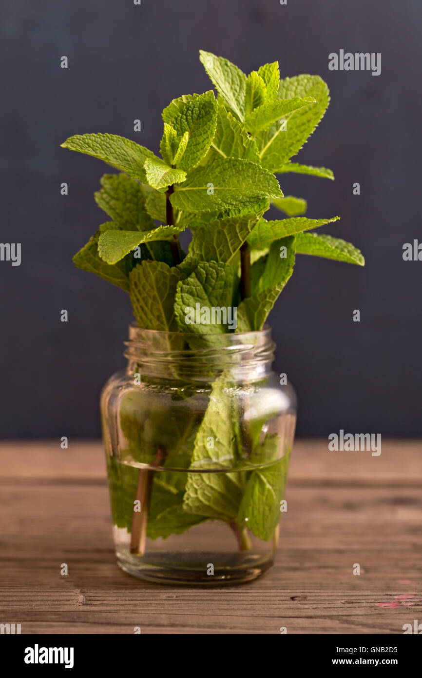 Scented herb plant hi-res stock photography and images - Alamy