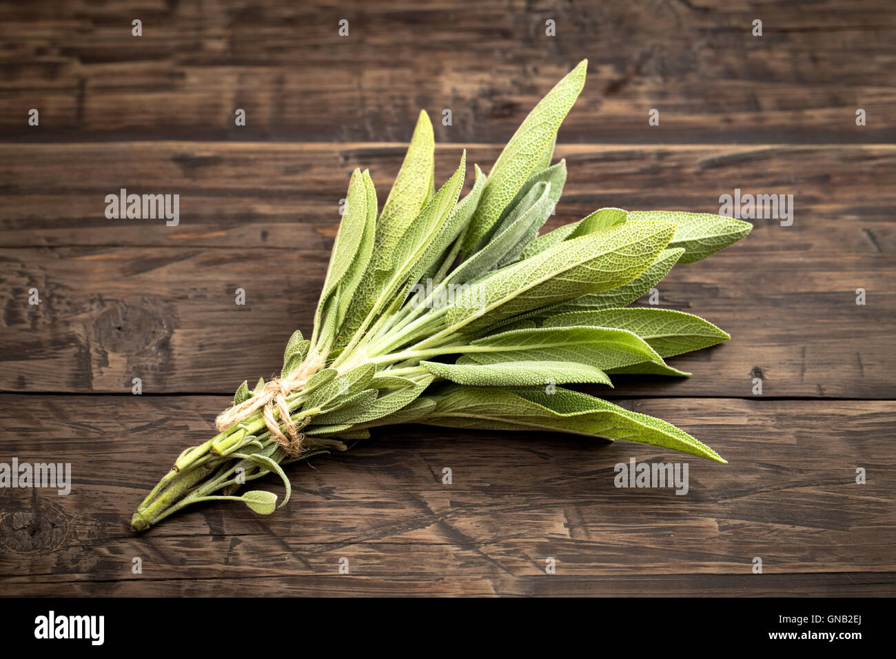 Cooking with fresh sage hi-res stock photography and images - Alamy