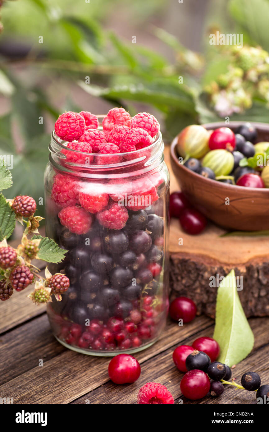 Various berries hi-res stock photography and images - Alamy