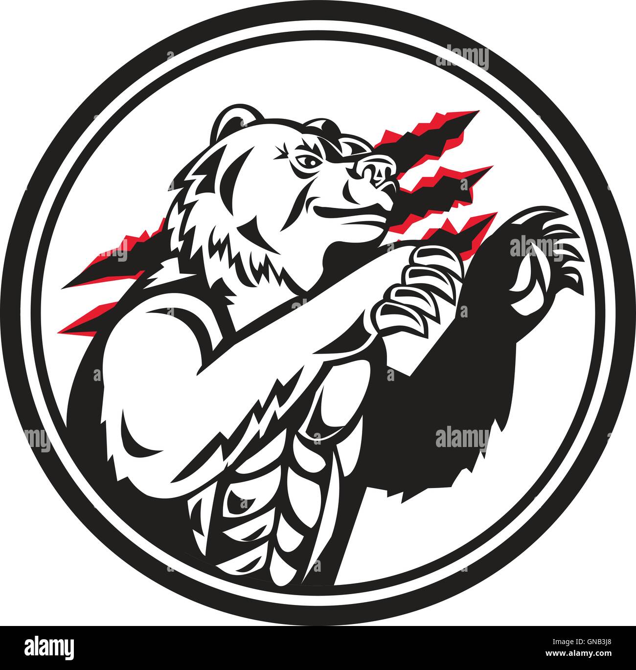 Cal Paw Logo