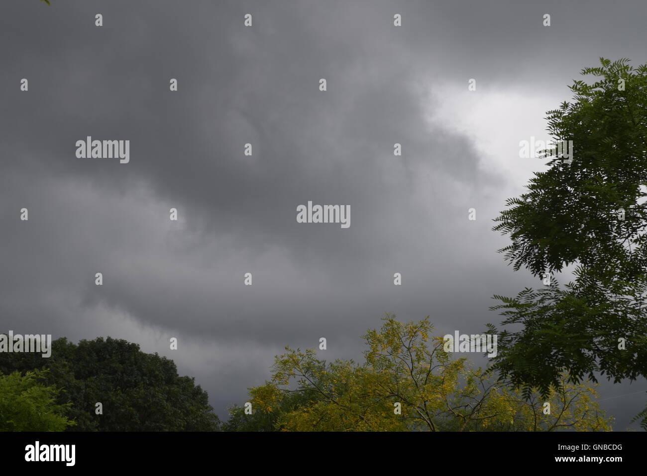 thunder clouds approaching the park Stock Photo - Alamy