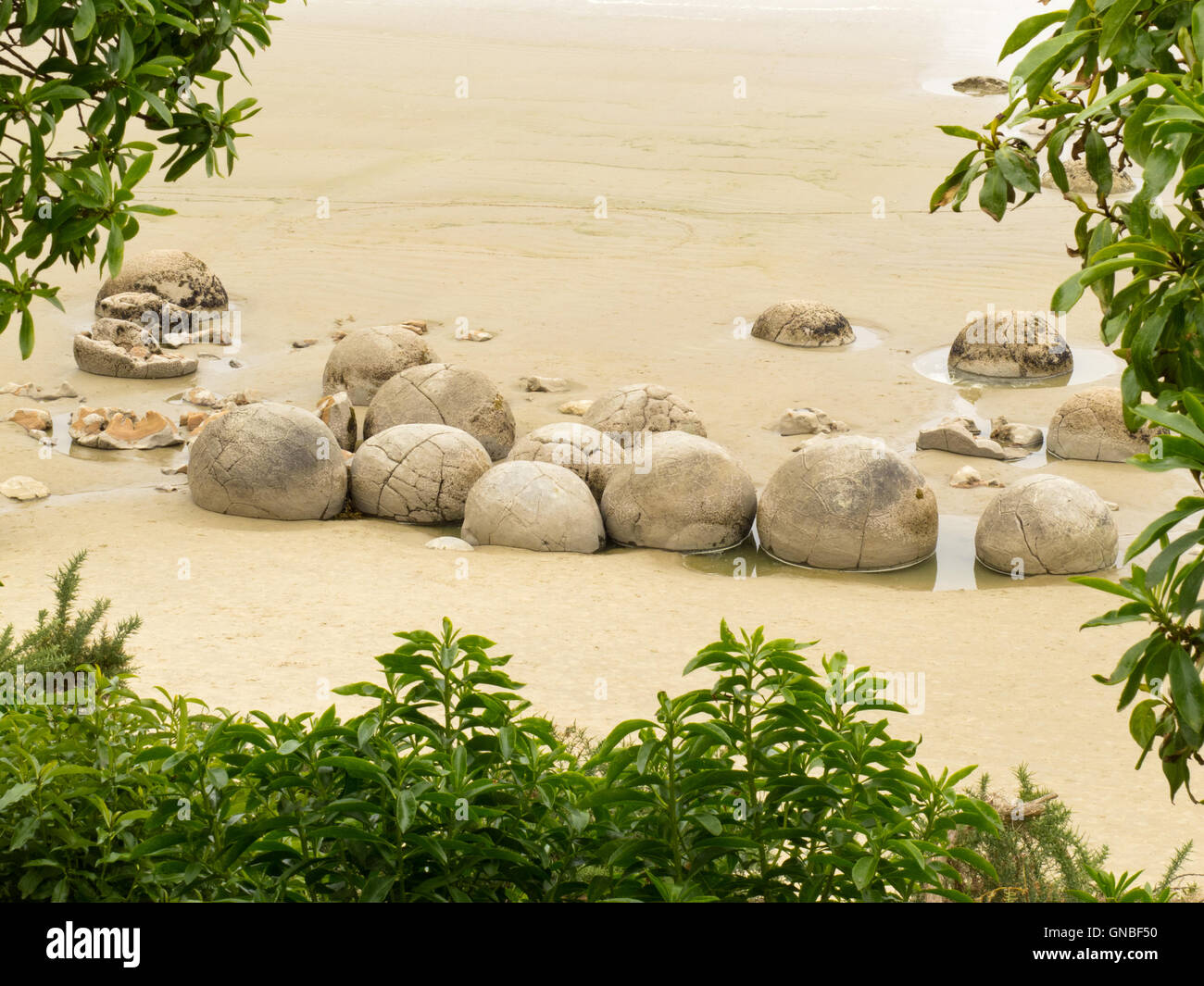 Famous NZ travel destination of Moeraki Boulders Stock Photo - Alamy