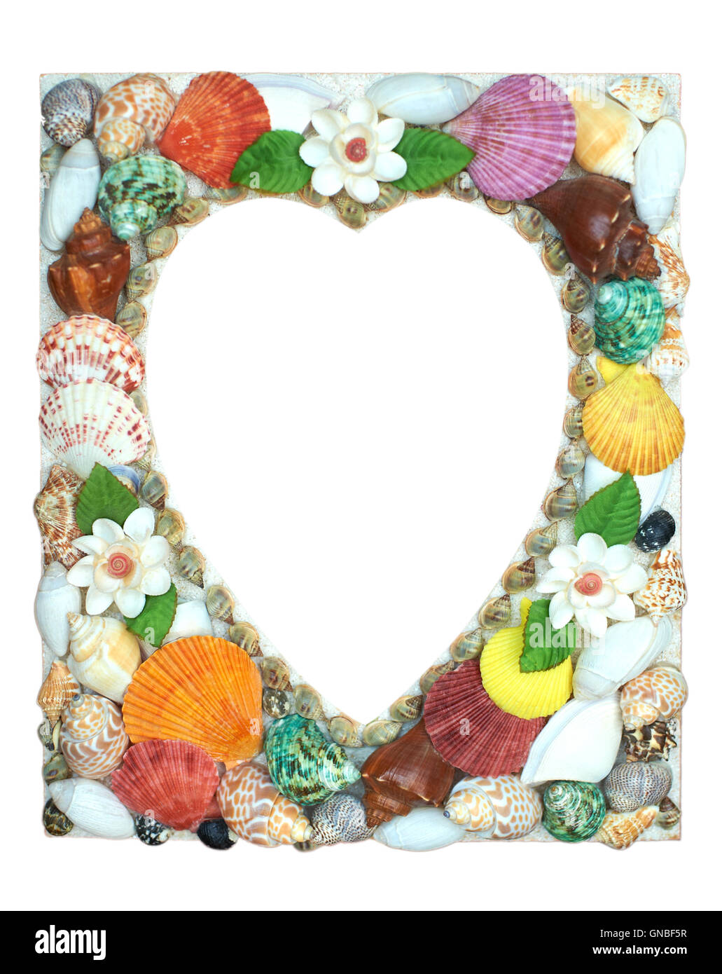 Border summer shells frame composition Stock Photo - Alamy