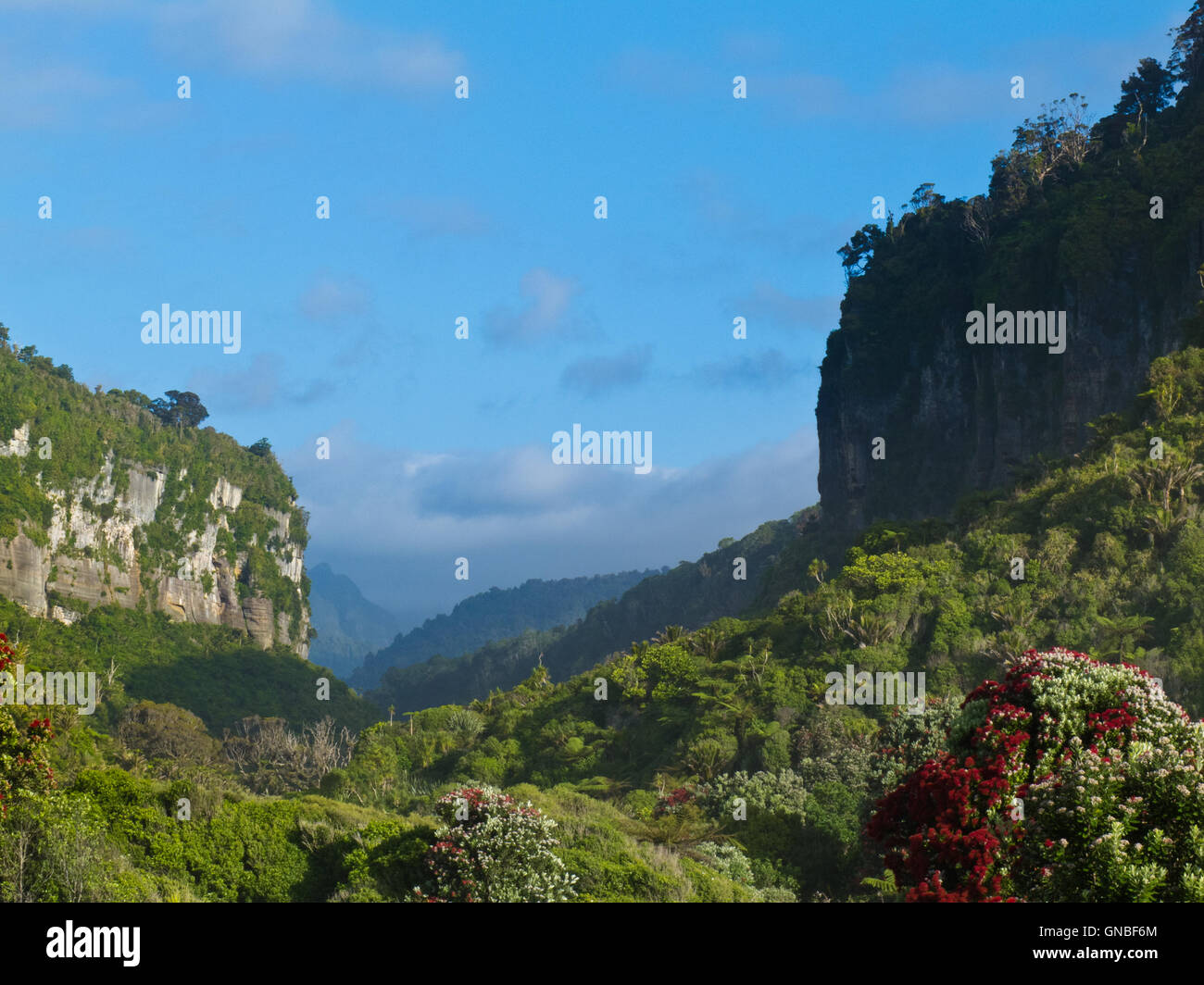 Punakaiki river valley hi-res stock photography and images - Alamy