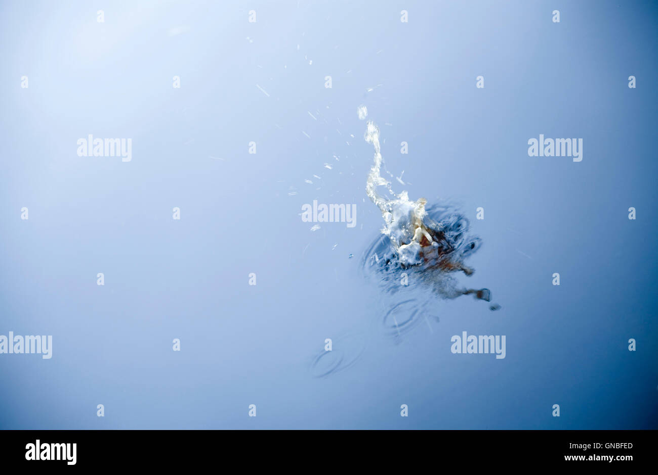 Powerful splash in water in a reservoir Stock Photo - Alamy