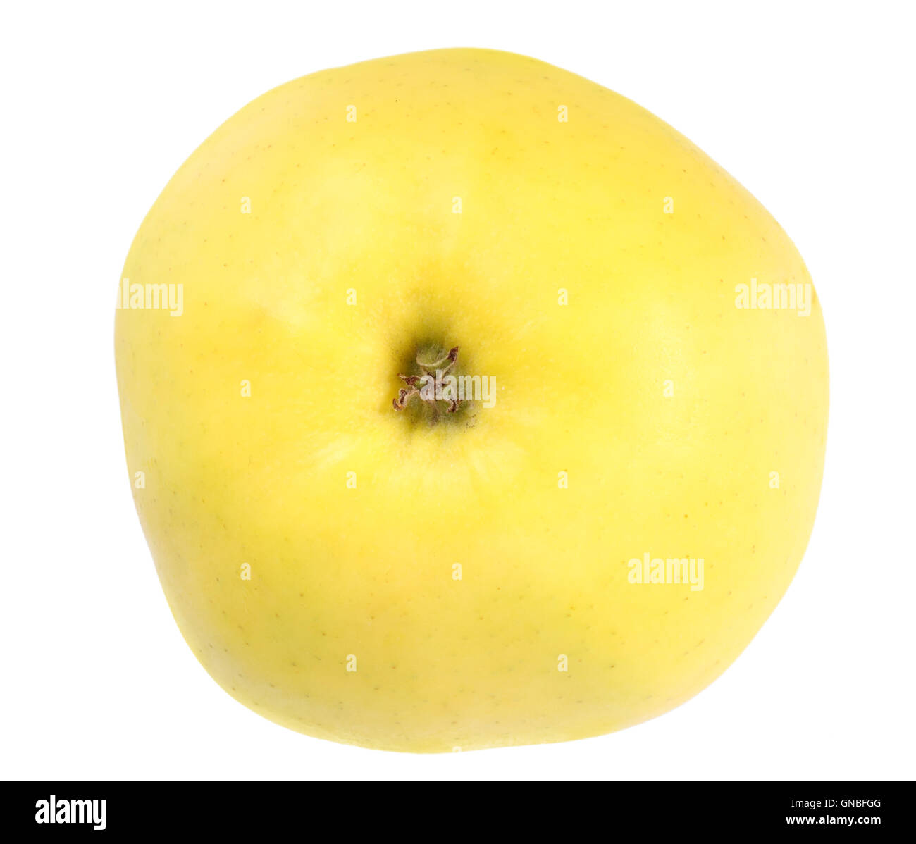 One fresh yellow apple Stock Photo - Alamy