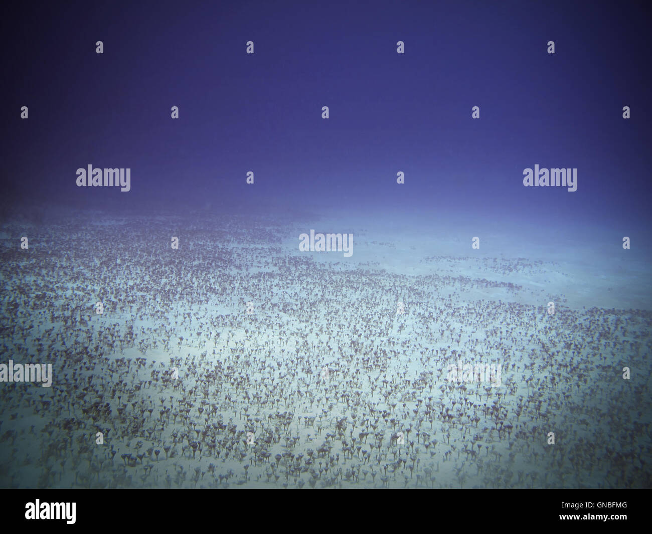 Deep sea floor atlantic hi-res stock photography and images - Alamy