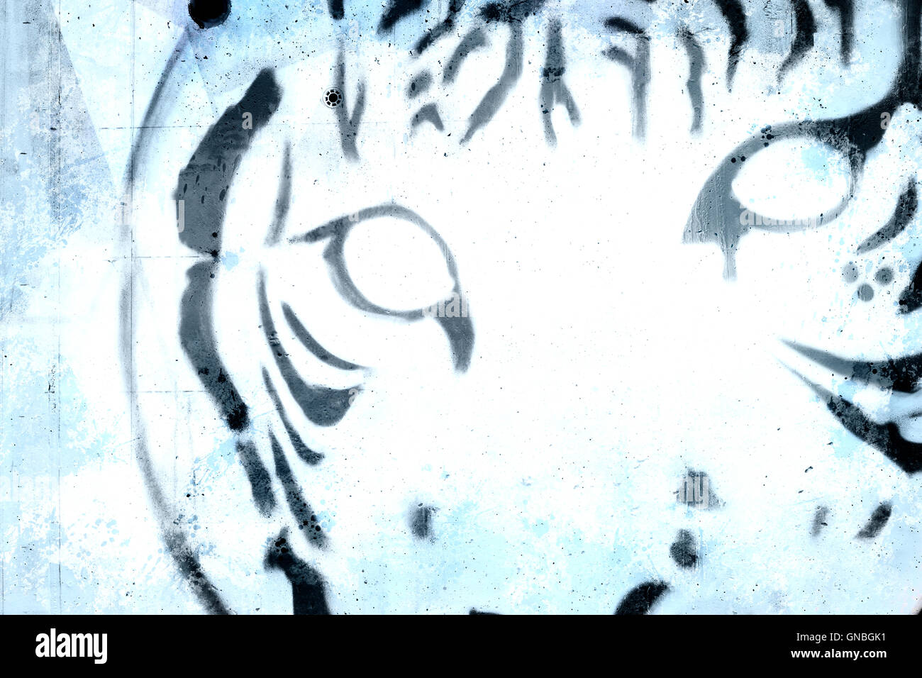 Tiger over old dirty wall, urban hip hop background Gray texture Stock ...