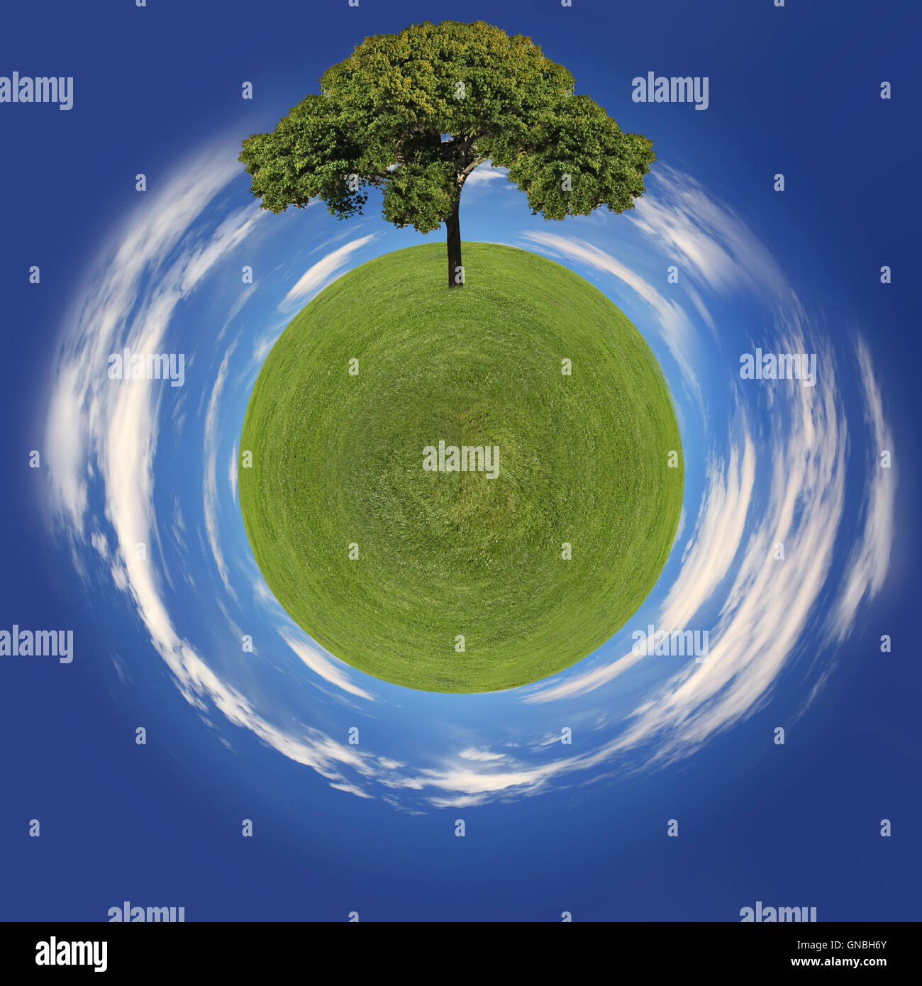 Grass Planet and Tree Going Green Concept Stock Photo - Alamy
