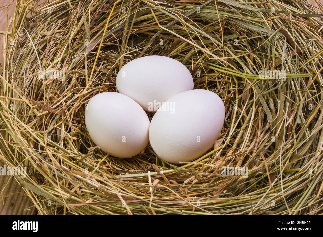 Nest with Easter eggs Stock Photo - Alamy