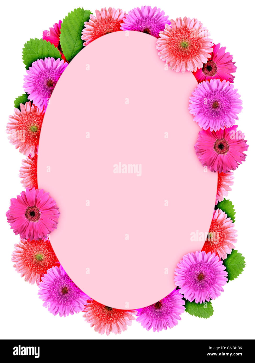 Floral ellipse frame with pink flowers Stock Photo - Alamy