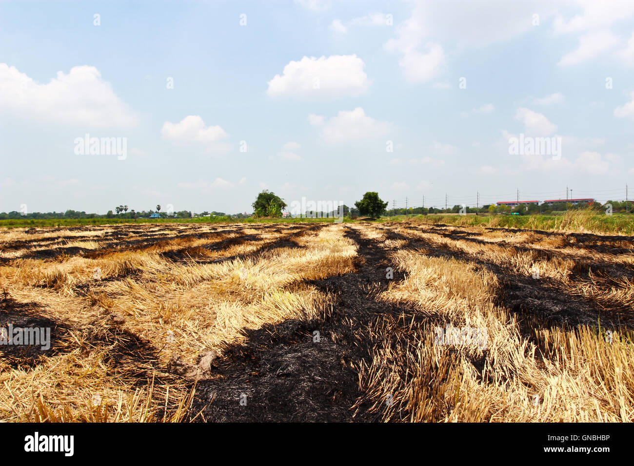 Prescribed prairie burn hi-res stock photography and images - Alamy