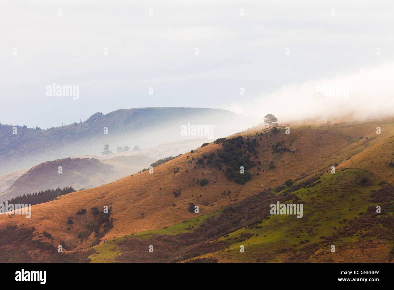 Bad weather fogs on Otago peninsula landscape, NZ Stock Photo - Alamy