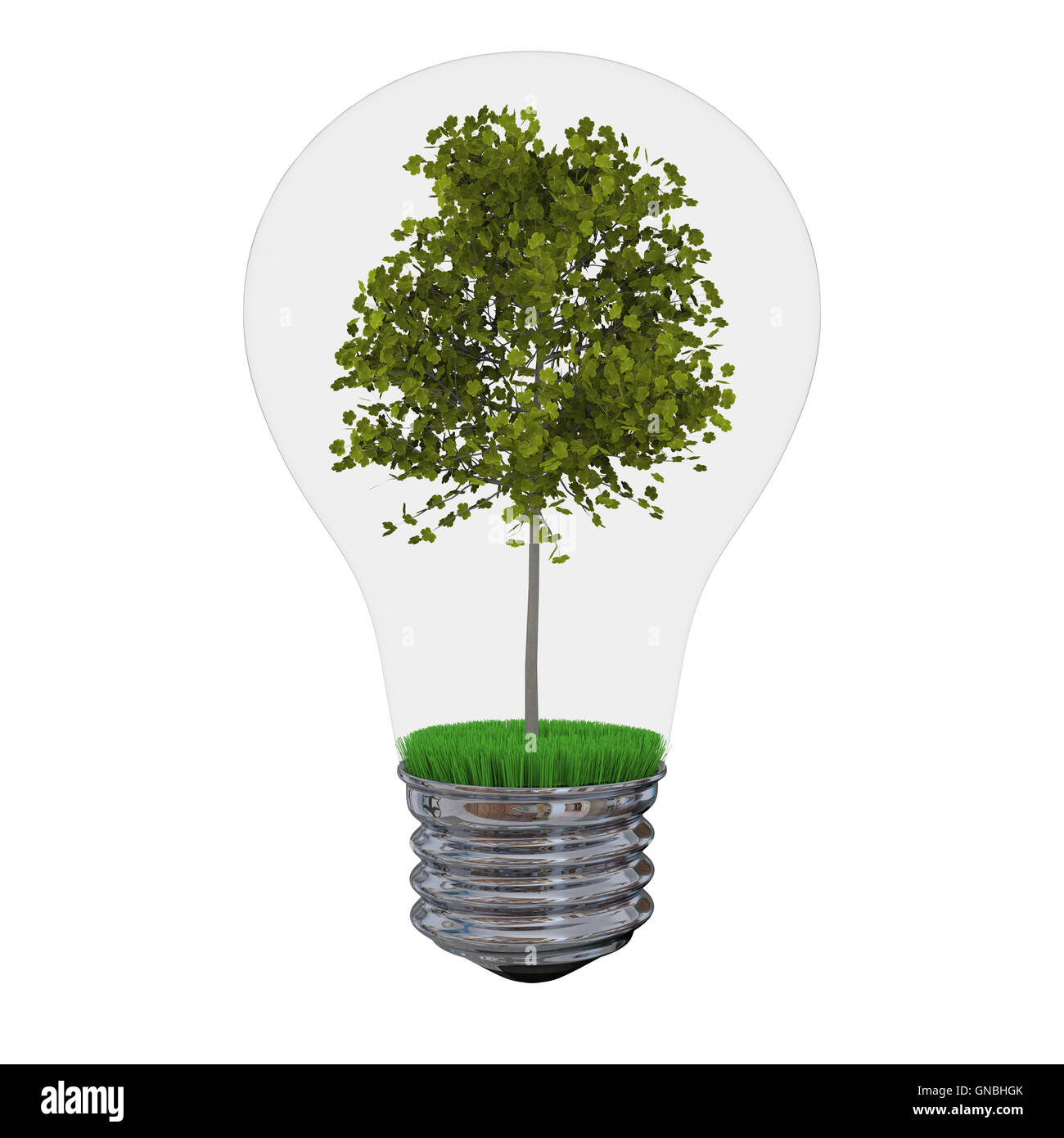 Tree inside lightbulb Stock Photo - Alamy