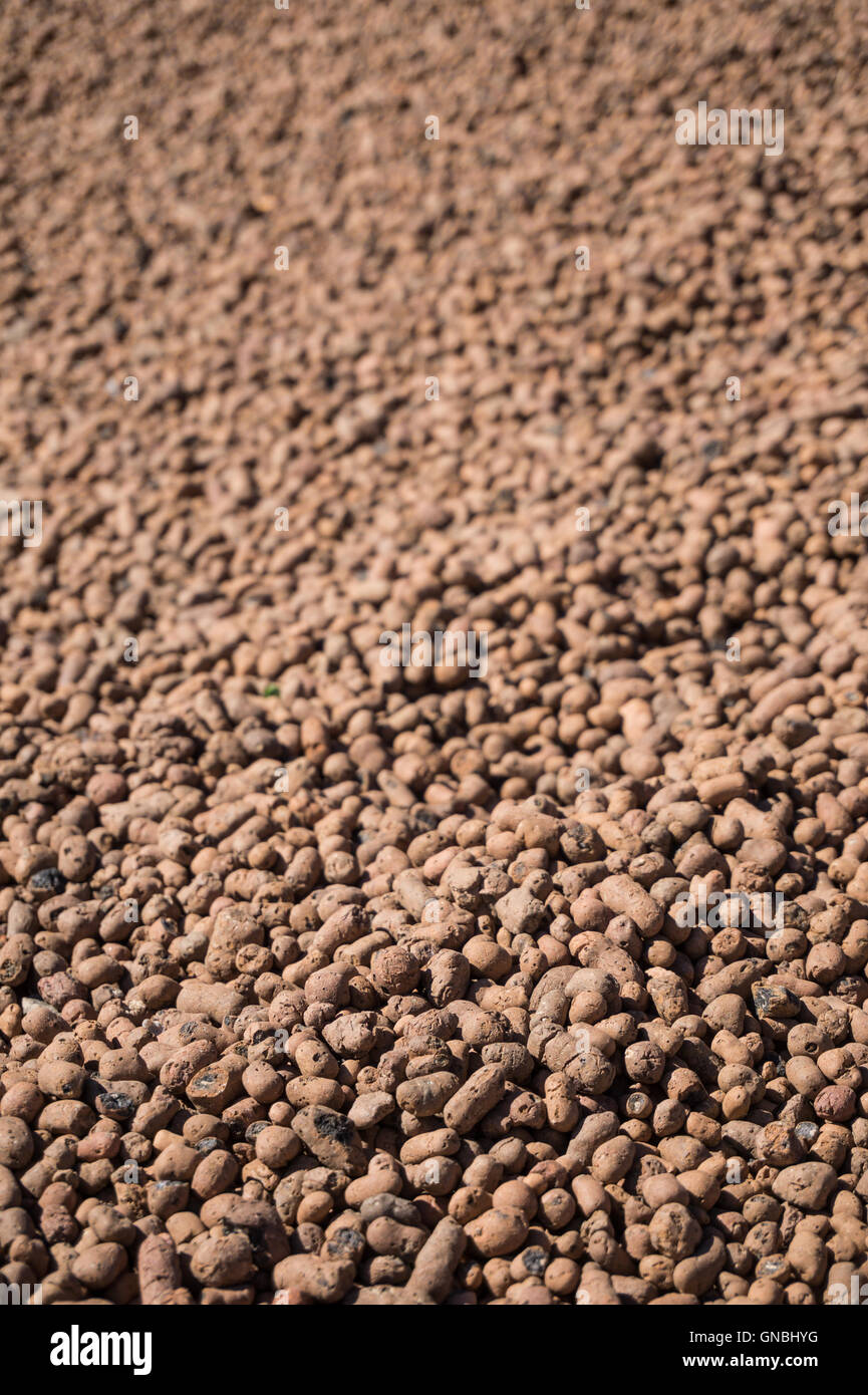 Expanded clay aggregate. Used in construction for insulation and ...