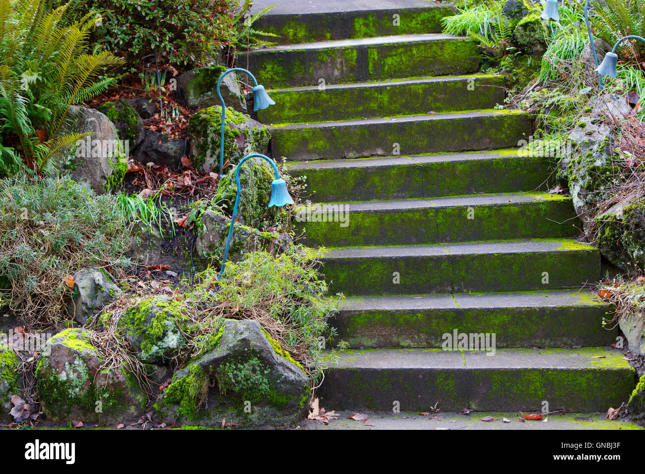 Curved Concrete Steps Stock Photo - Alamy