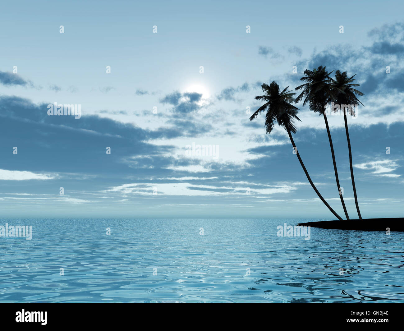Three palms at sunrise hi-res stock photography and images - Alamy