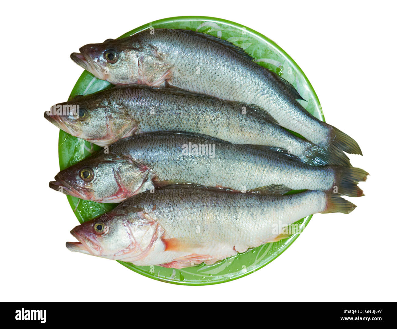 Salmonid aquaculture Cut Out Stock Images & Pictures - Alamy