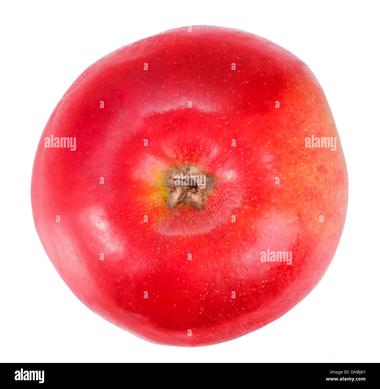 One fresh red apple Stock Photo - Alamy