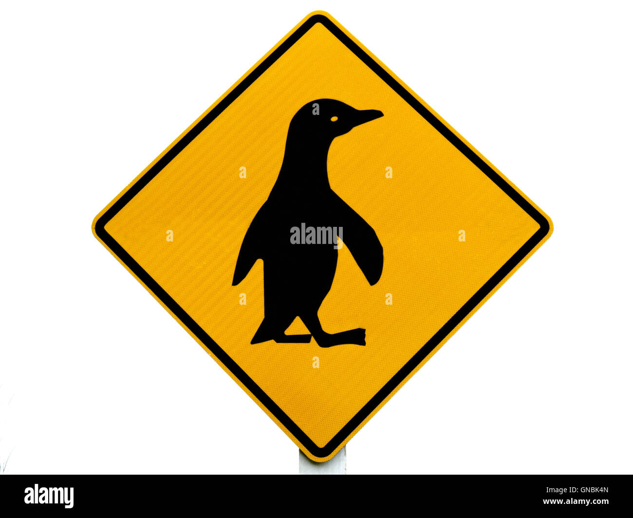 Attention Blue Penguin Crossing Road Sign Stock Photo - Alamy