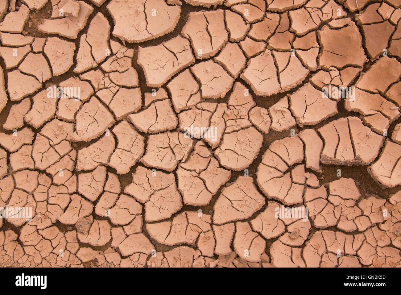 Parched dry up hi-res stock photography and images - Alamy