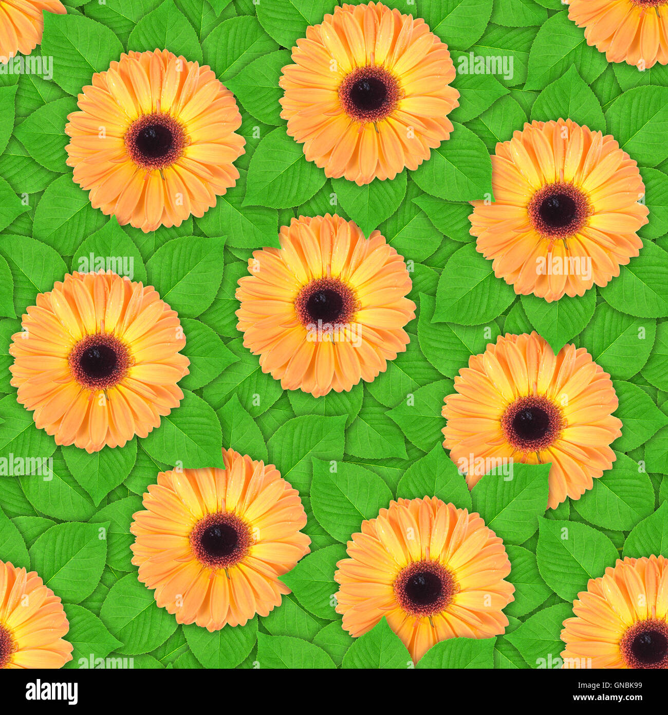 Seamless orange texture hi-res stock photography and images - Alamy