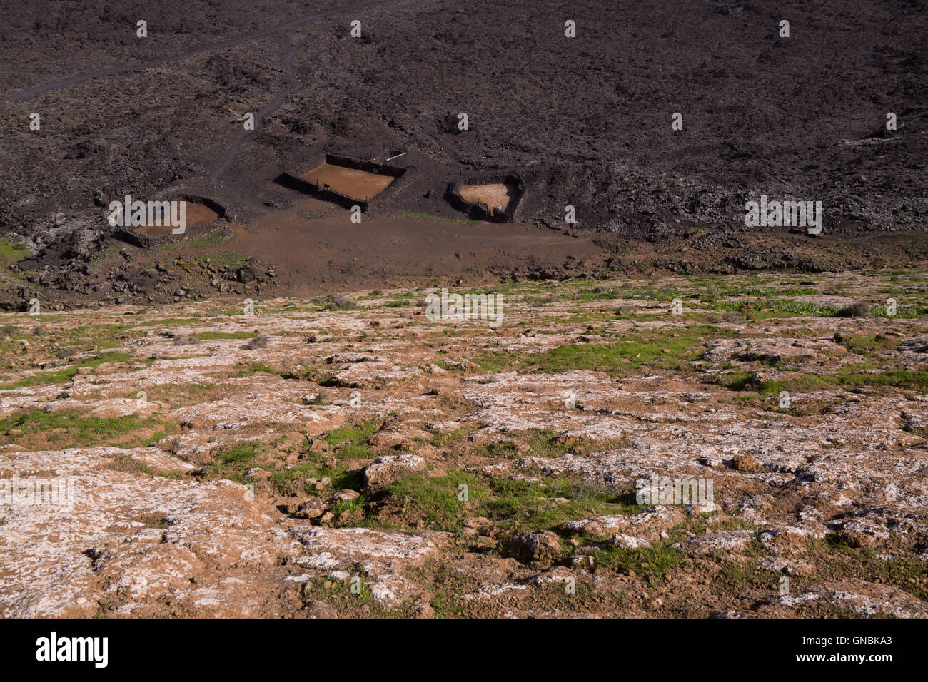 Farm underneath volcano Stock Photo - Alamy