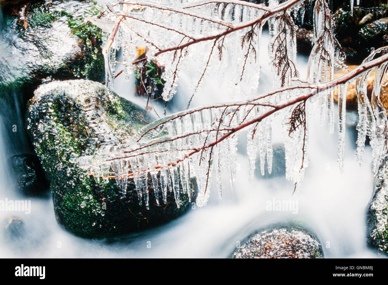 Small creek freezing up forming icicles Stock Photo - Alamy