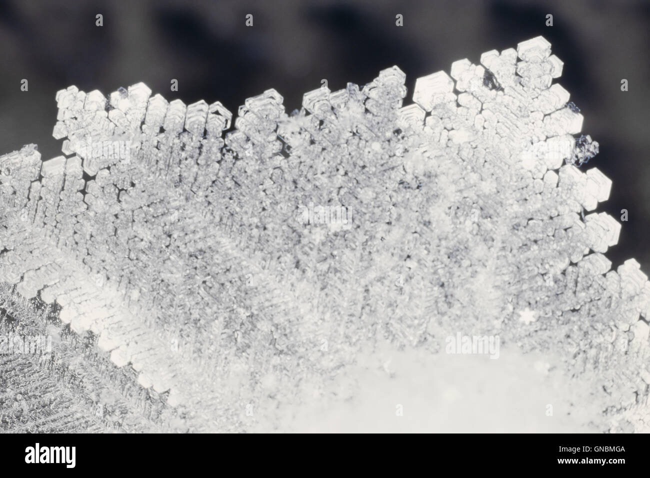 Close-up of real snowflake Stock Photo - Alamy