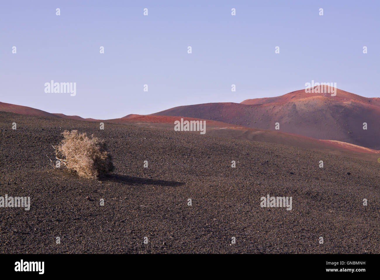 Dark ash hi-res stock photography and images - Alamy